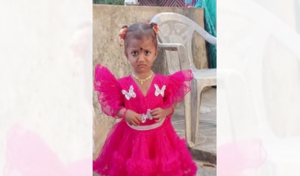 Mystery deepens as pet dog dies during search for missing girl in AP